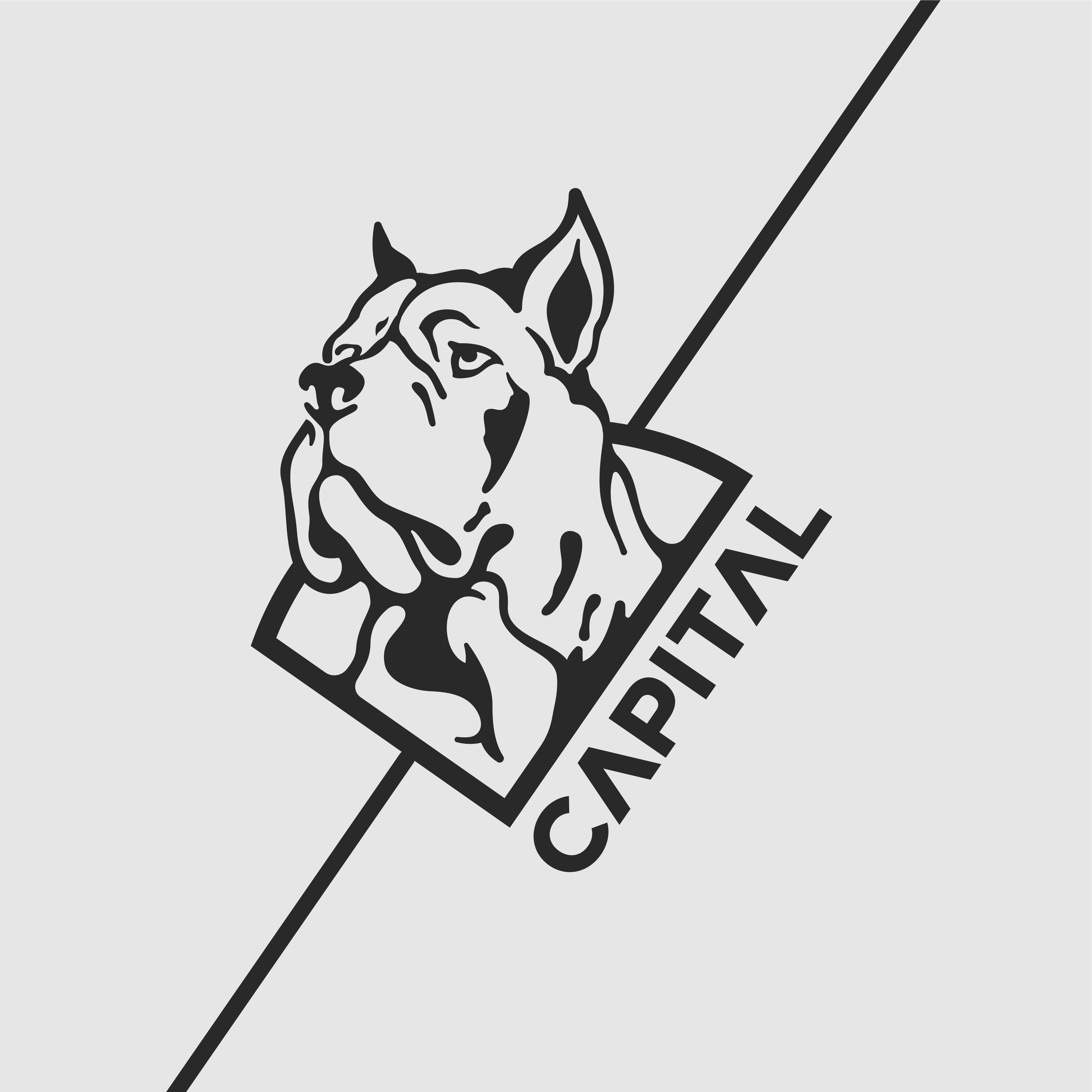 Capital Dogs Brand Identity Design