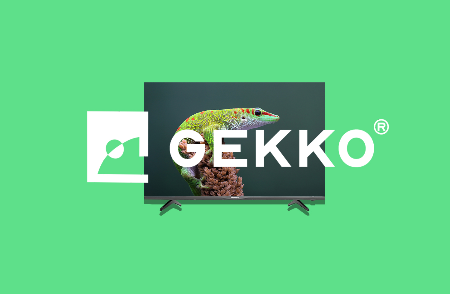 LOGO AND BRAND DESIGN - GEKKO
